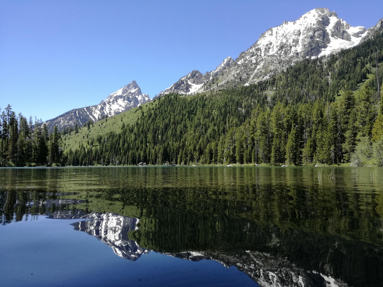 10 多张免费的“Teton Legend”和“怀俄明州”照片 - Pixabay