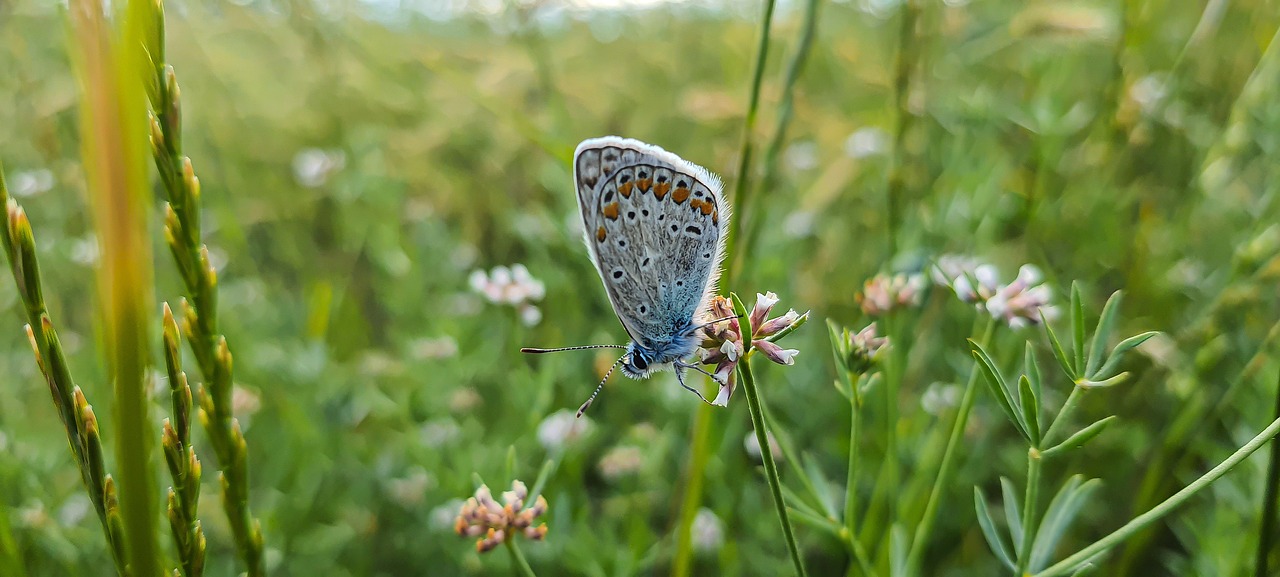 100+ Free Azure Sky & Azure Images - Pixabay