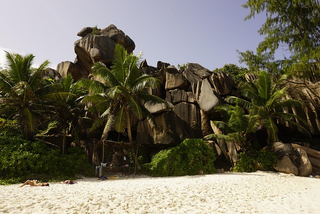 Seychelles Island Beach - Free photo on Pixabay - Pixabay