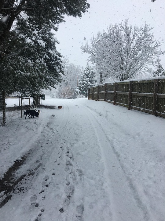 Driveway Snow Covered - Free photo on Pixabay - Pixabay