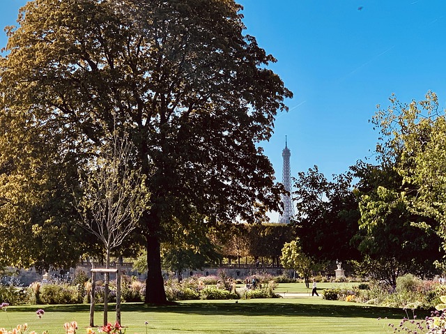 巴黎 法国 Jardin-Des-Tuileries - Pixabay上的免费照片 - Pixabay