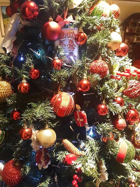 Christmas Tree December - Free photo on Pixabay - Pixabay