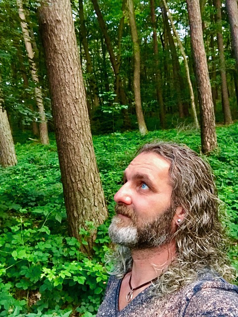 Forest Life Nature - Free photo on Pixabay - Pixabay