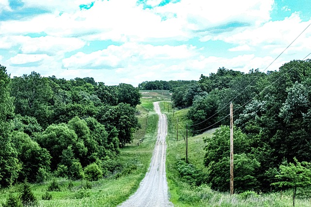 Gravel Road Roads Nature - Free photo on Pixabay