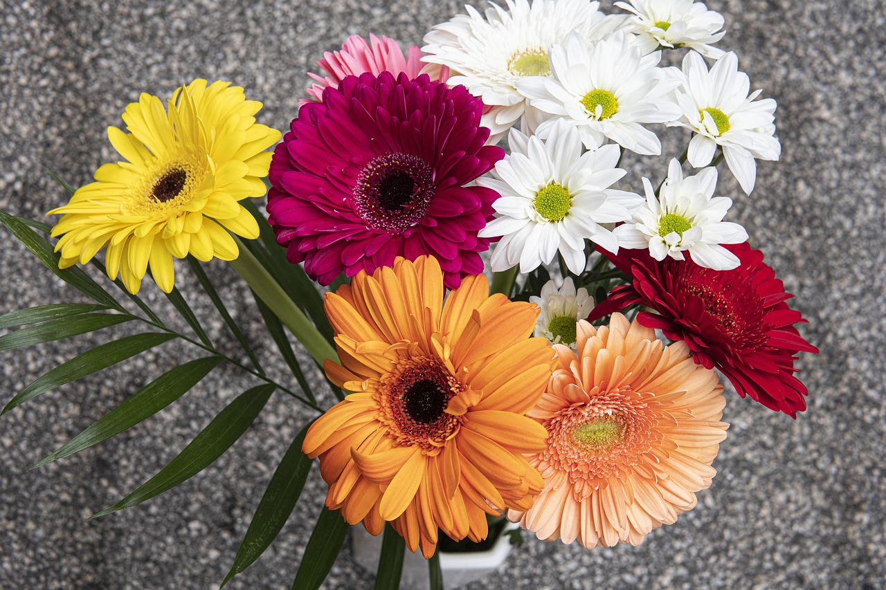 400,000+ Free Mixed Flowers & Nature Images - Pixabay