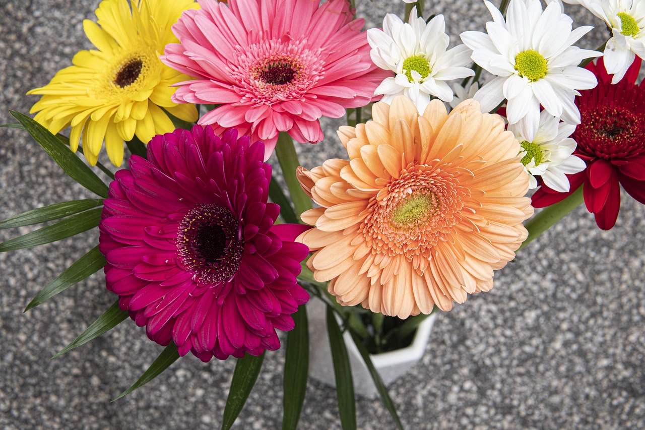 100+ Free Mixed Flowers & Beautiful Flowers Images - Pixabay