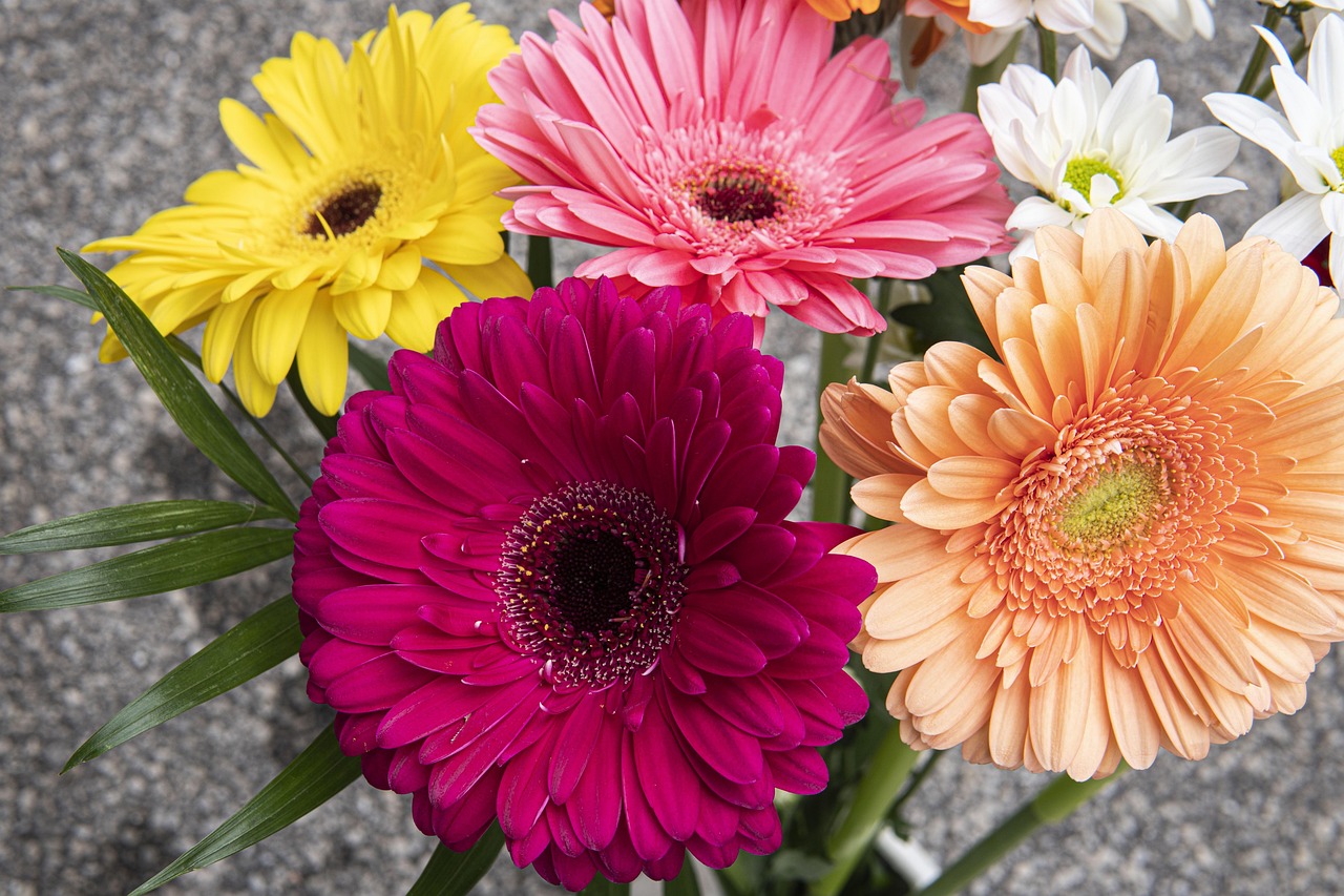 400,000+ Free Mixed Flowers & Nature Images - Pixabay