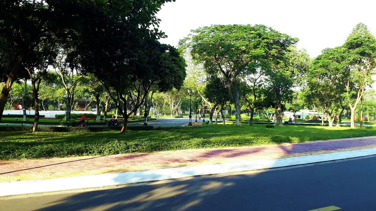 Parque Árboles Tarde - Foto gratis en Pixabay - Pixabay