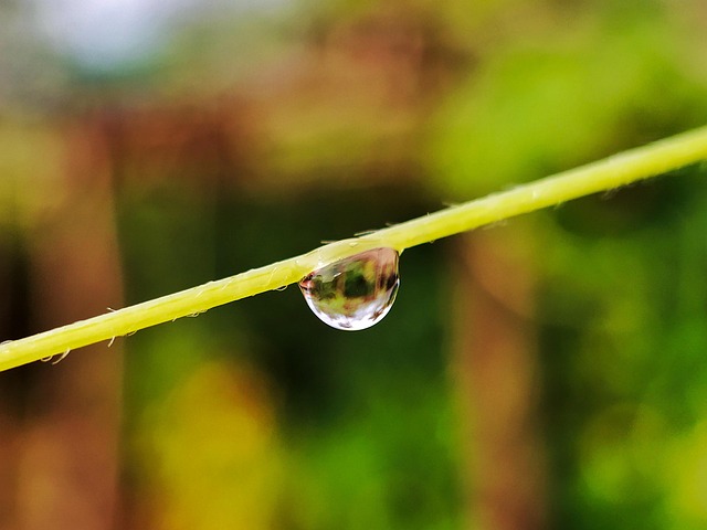 Goutte D'Eau Macro L'Eau - Photo gratuite sur Pixabay - Pixabay