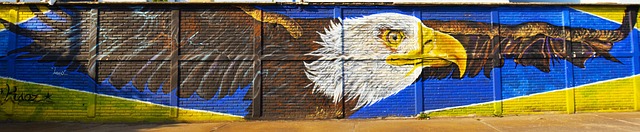 Eagle Mural Graffiti - Free photo on Pixabay - Pixabay
