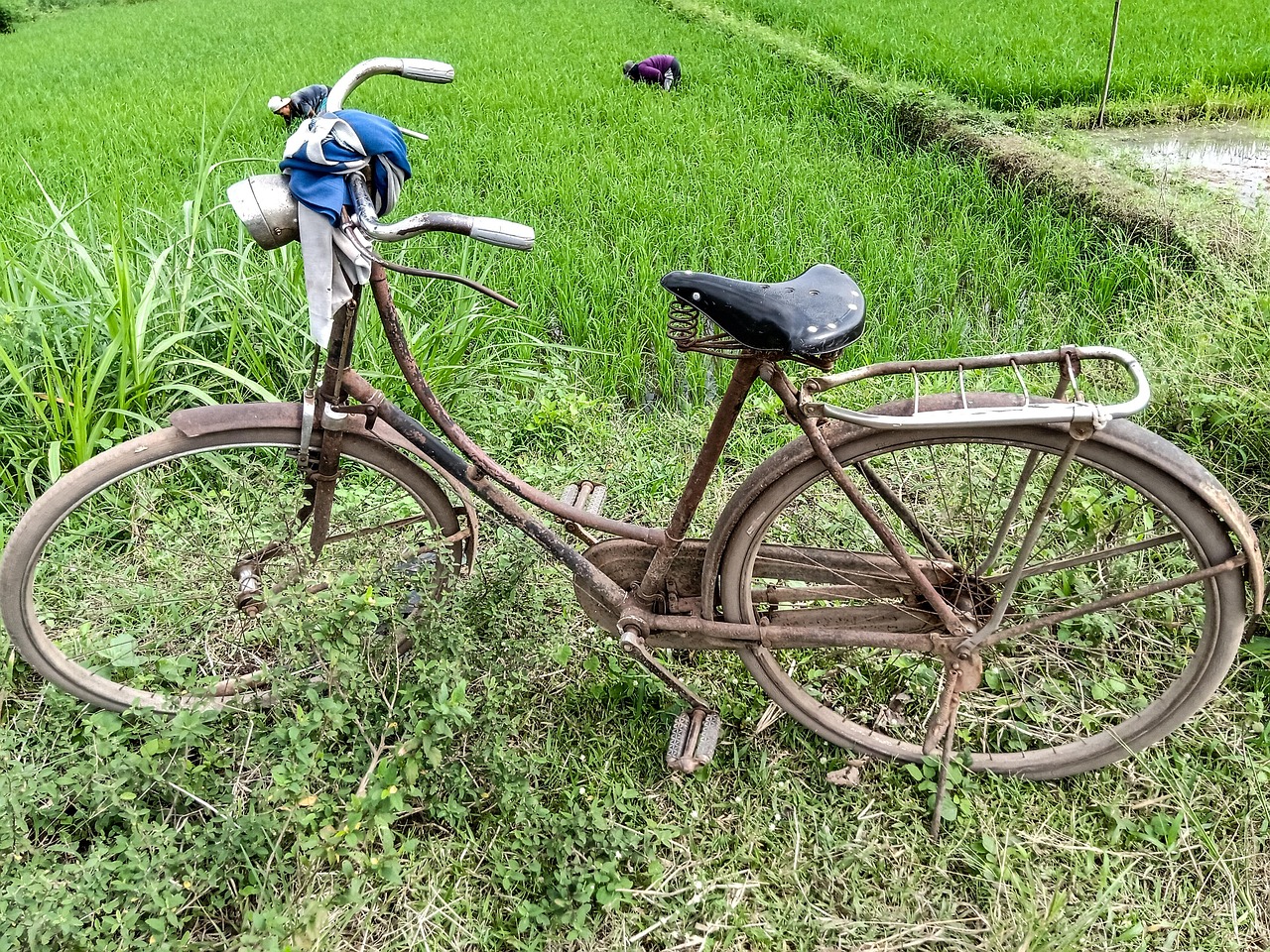 Bike Farmer View - Free photo on Pixabay - Pixabay
