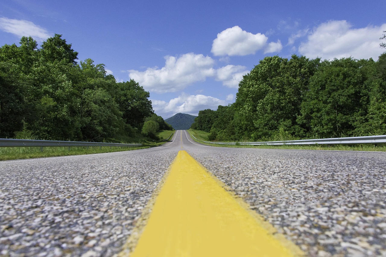 Road Nature Forest - Free photo on Pixabay