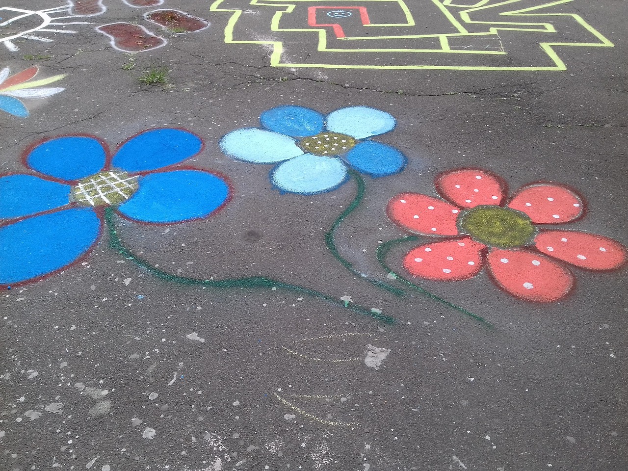 Flowers On The Pavement Maze - Free photo on Pixabay - Pixabay