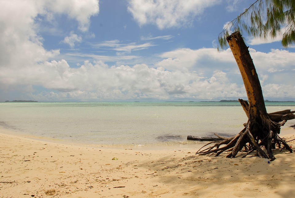 Palau Ocean Nature - Free photo on Pixabay - Pixabay