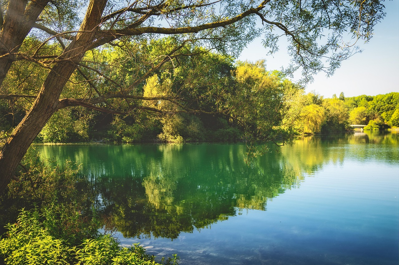 Lake Summer Nature - Free photo on Pixabay