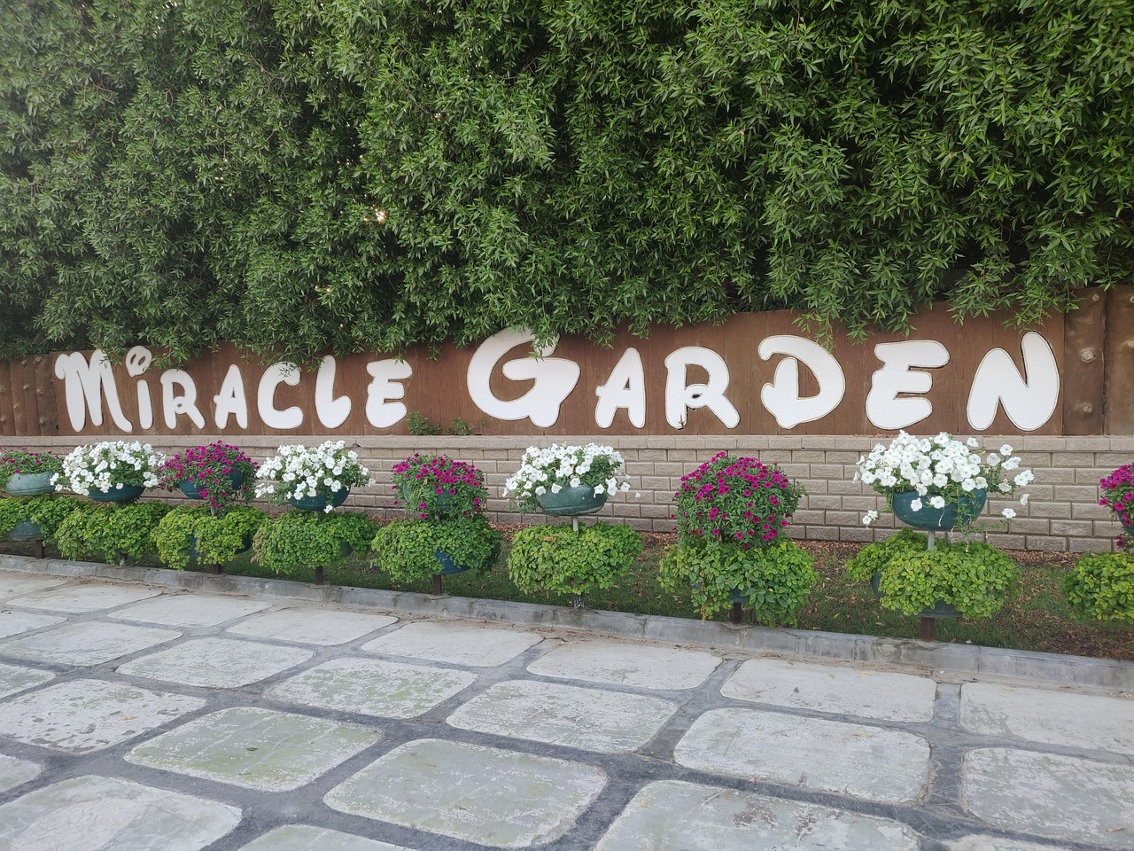 Miracle Garden Dubai Top