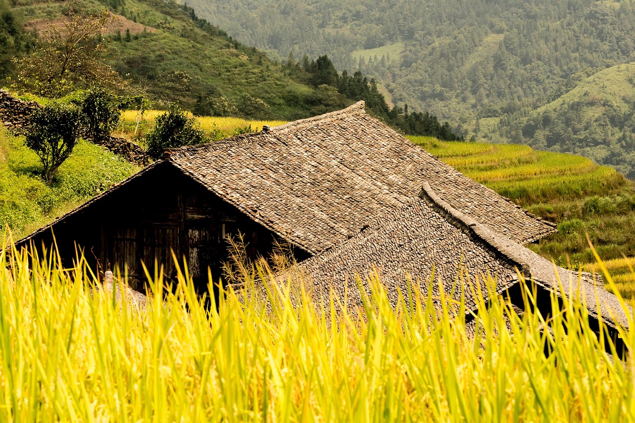Work Houses Longji Terrace China - Free photo on Pixabay