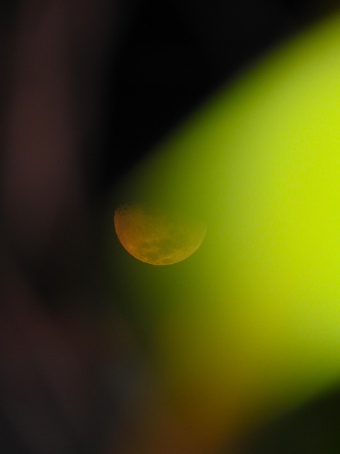 Moon Green Night - Free photo on Pixabay - Pixabay