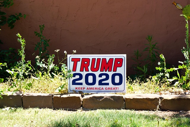 Politics Trump 2020 - Free photo on Pixabay