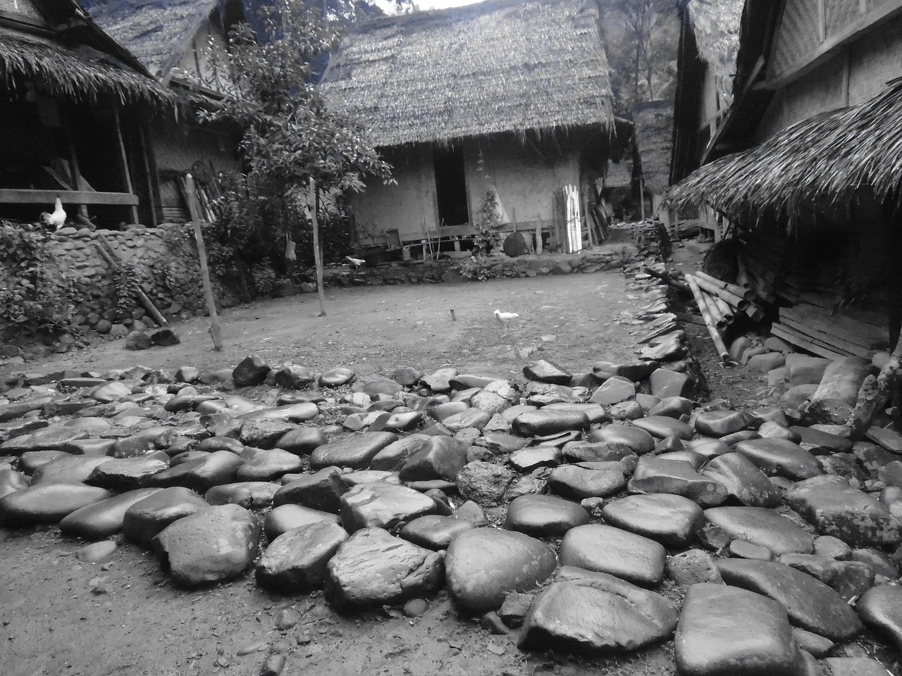 Baduy Banten - Foto gratis en Pixabay - Pixabay