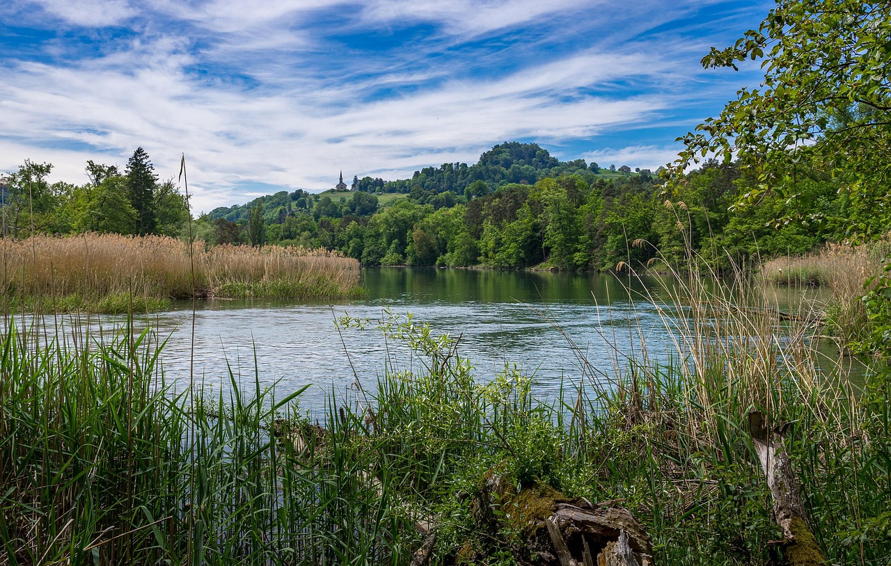 Rhine Water Flow - Free photo on Pixabay