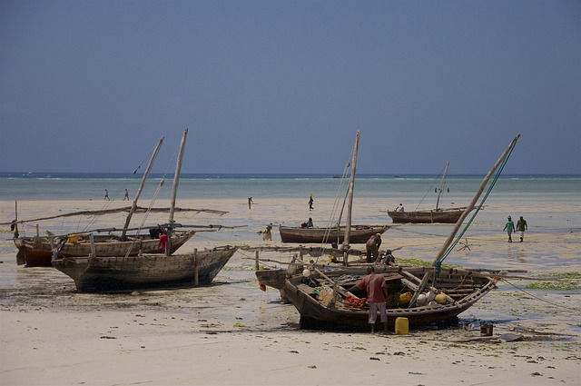 Zanzibar Indian Ocean Tanzania - Free photo on Pixabay - Pixabay