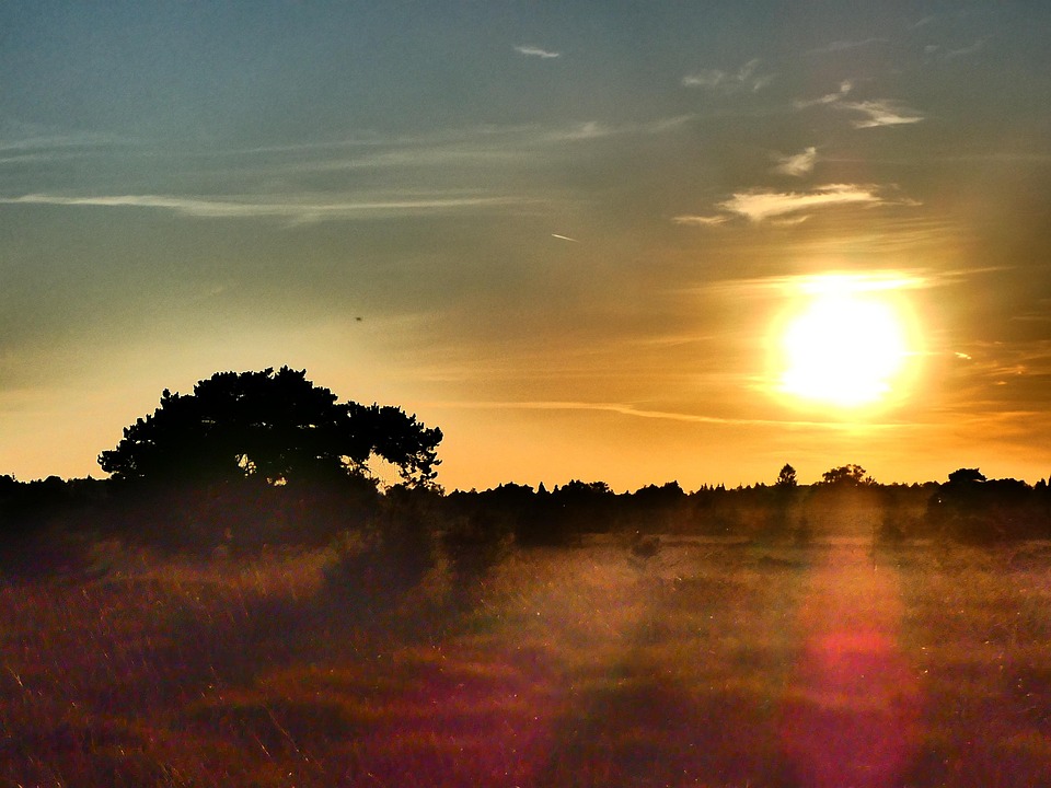 Hohes Venn Belçika Sonnenuntergang - Pixabay'de ücretsiz fotoğraf - Pixabay