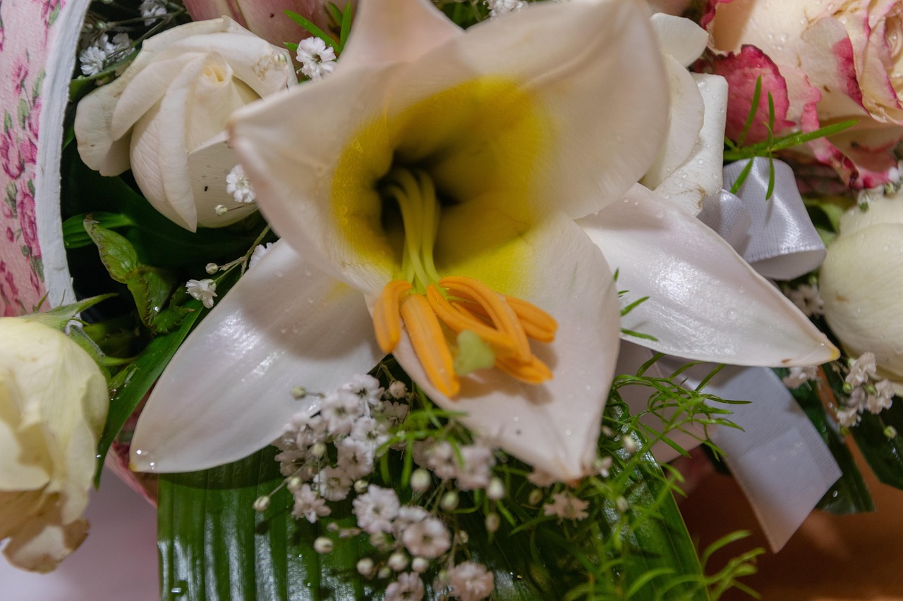 Fleur Orchidée - Photo gratuite sur Pixabay - Pixabay