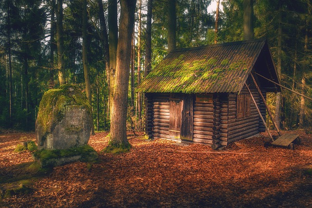 Forest Lodge Hut Wooden - Free photo on Pixabay - Pixabay