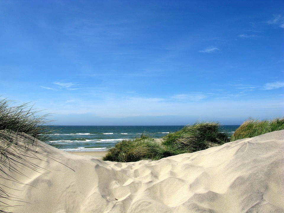 North Sea Sand Dunes Beach - Free photo on Pixabay - Pixabay