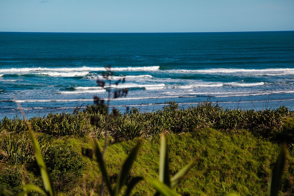 New Zealand Sea Landscape - Free photo on Pixabay - Pixabay