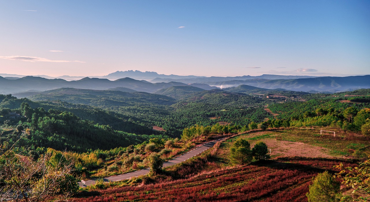 1,000+ Free Forestry & Nature Images - Pixabay