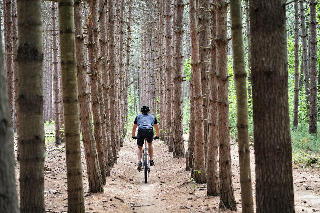 Mountainbike Radfahren Radfahrer - Kostenloses Foto auf Pixabay
