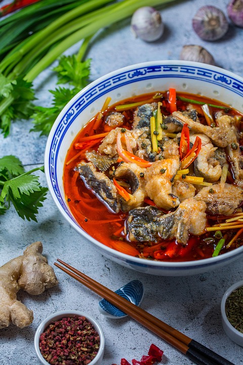 Chinese Festival Fish Sichuan - Pixabay上的免费照片