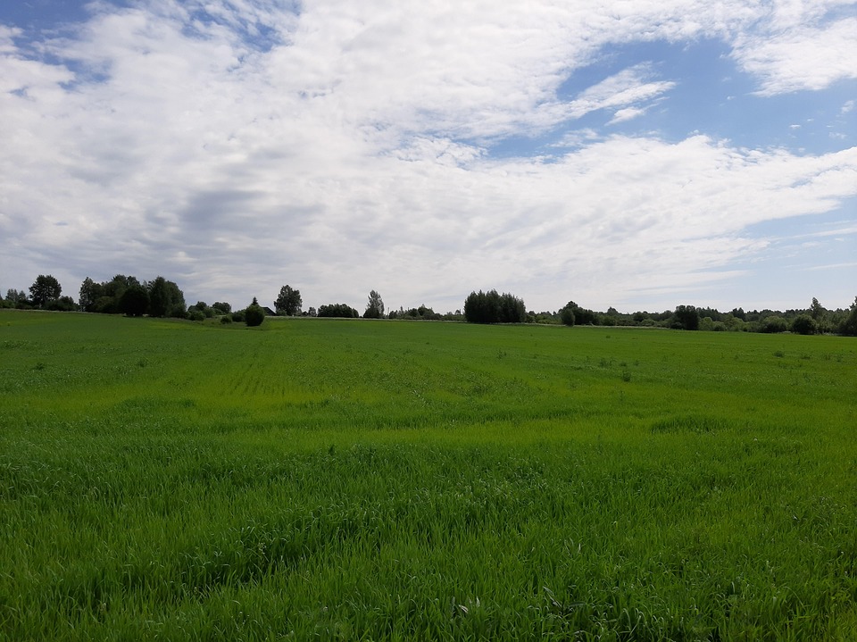 La Nature Champ Paysage - Photo gratuite sur Pixabay - Pixabay