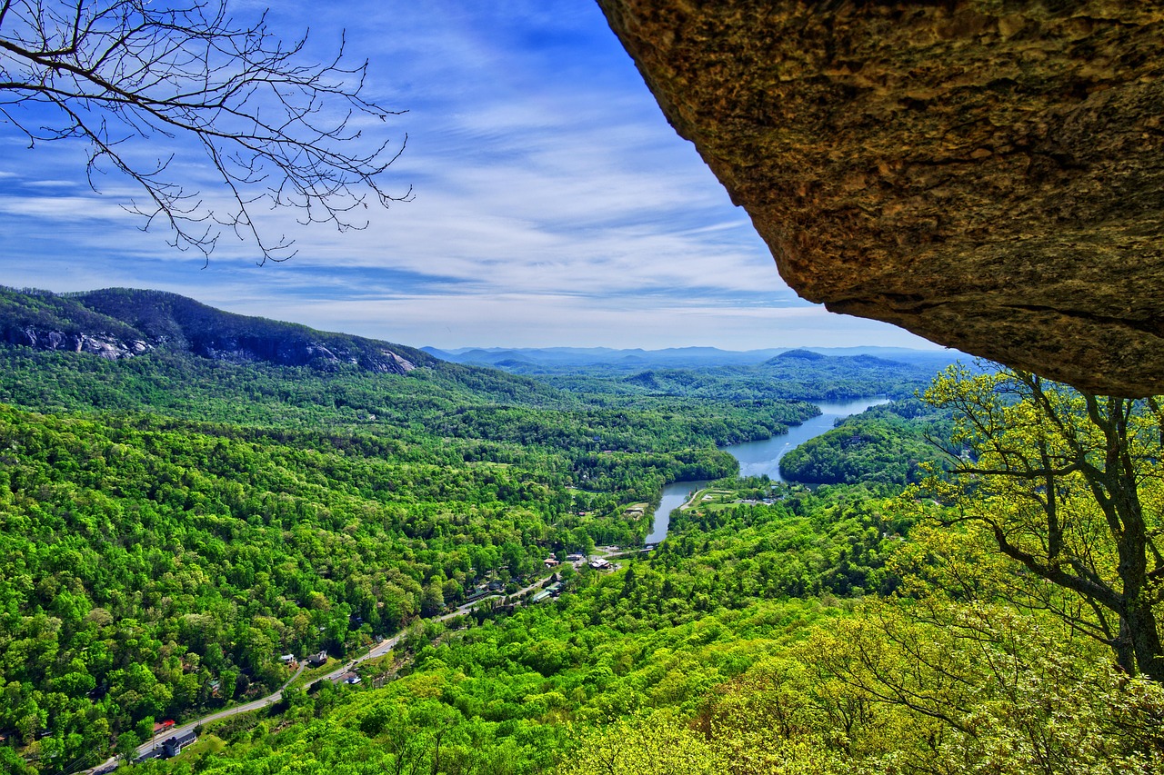 Views Of The River Green Landscape - Free photo on Pixabay