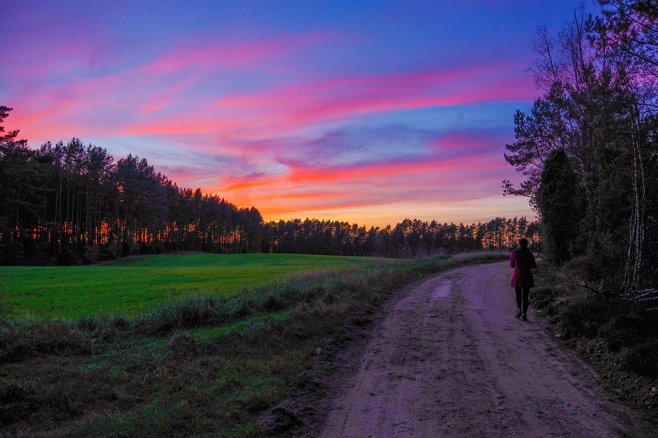 Naturaleza Nube Atardecer Bosque Naturaleza Paisaje Atardecer Foto