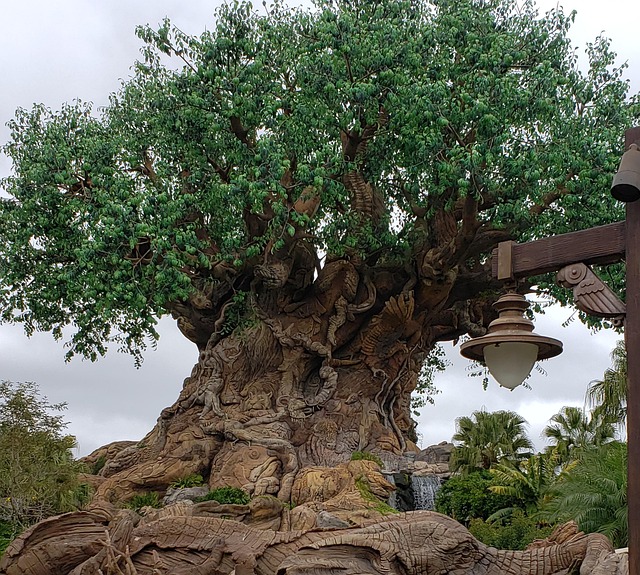 Tree Of Life Walt Disney - Ilmainen valokuva Pixabayssa - Pixabay
