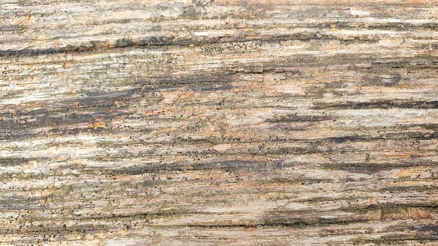 Holz Textur Hintergrund - Kostenloses Foto auf Pixabay