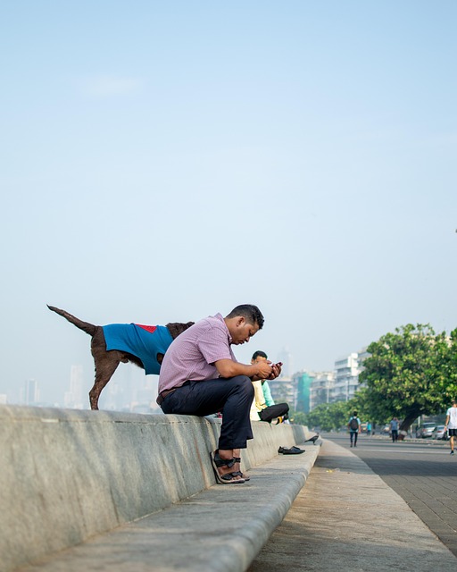 Man Dog Pet - Free photo on Pixabay - Pixabay