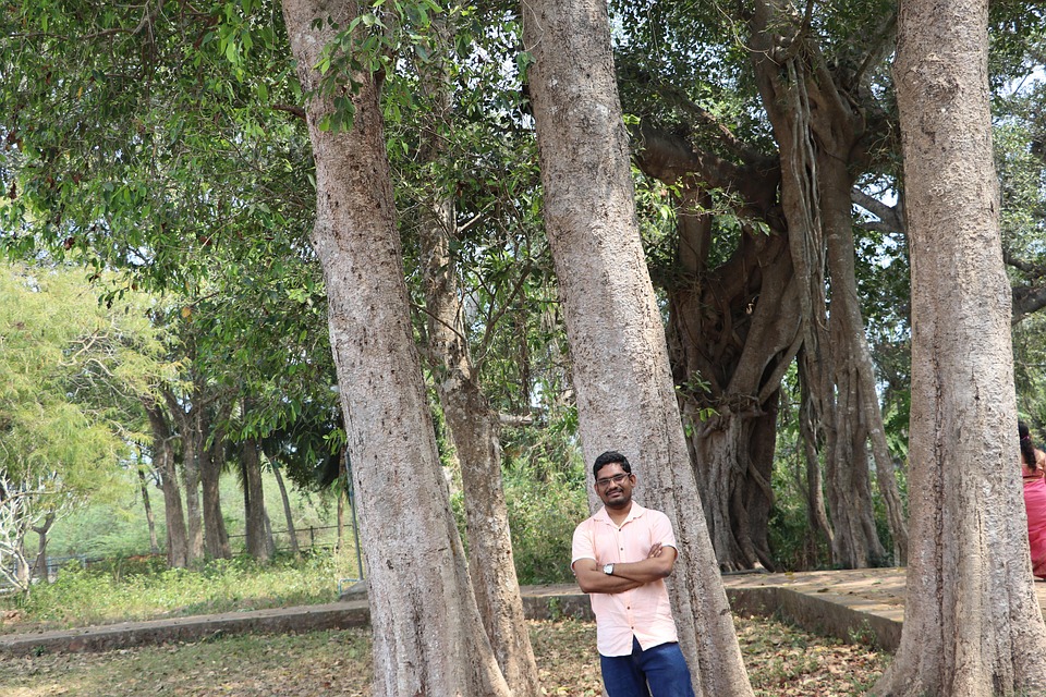 Siva Sambasiva Sambasivarao - Gratis foto på Pixabay - Pixabay