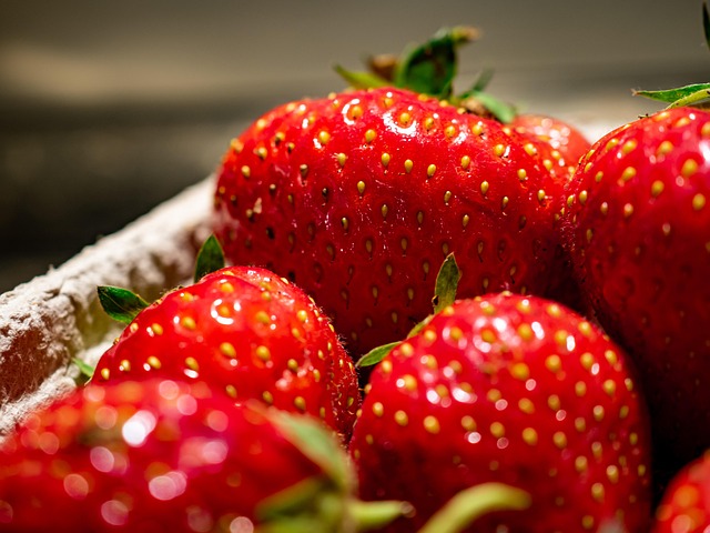 Fresas Bio Fruta - Foto gratis en Pixabay - Pixabay