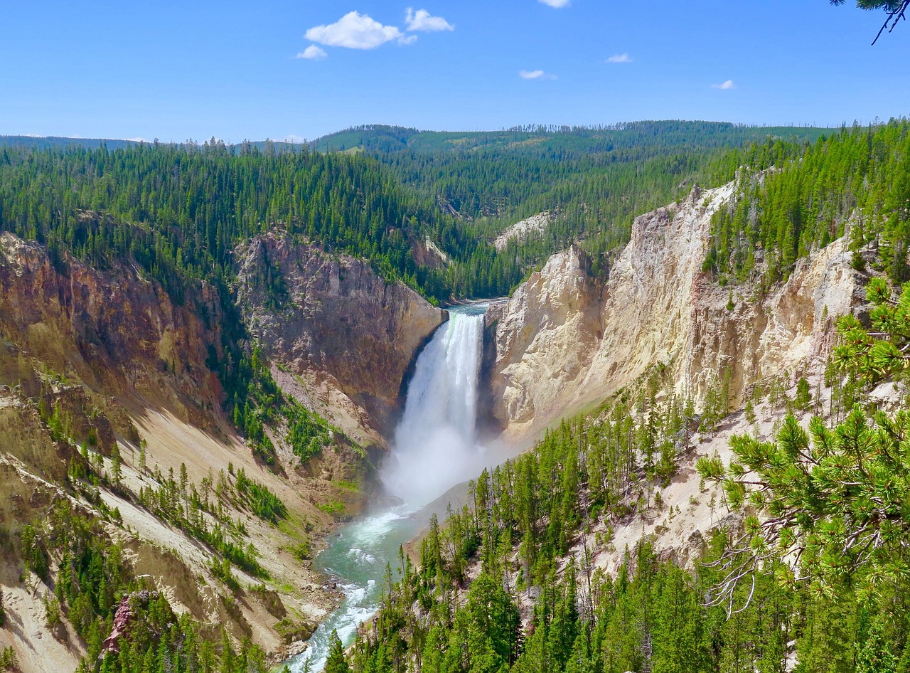 800+ Free Yellowstone National Park & Yellowstone Images - Pixabay