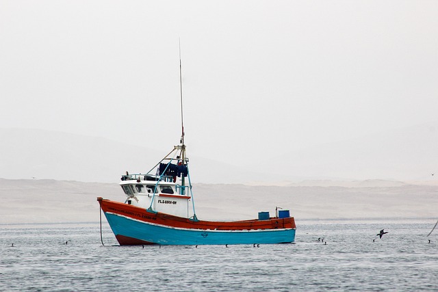 Boat Beach Fishing - Free photo on Pixabay