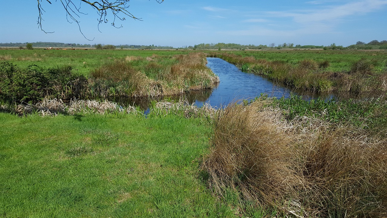Carlton Marais Lowestoft Norfolk - Photo gratuite sur Pixabay - Pixabay
