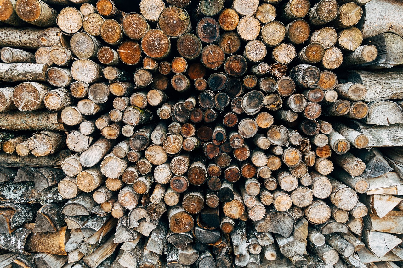 Wood Fire Campfire - Free photo on Pixabay