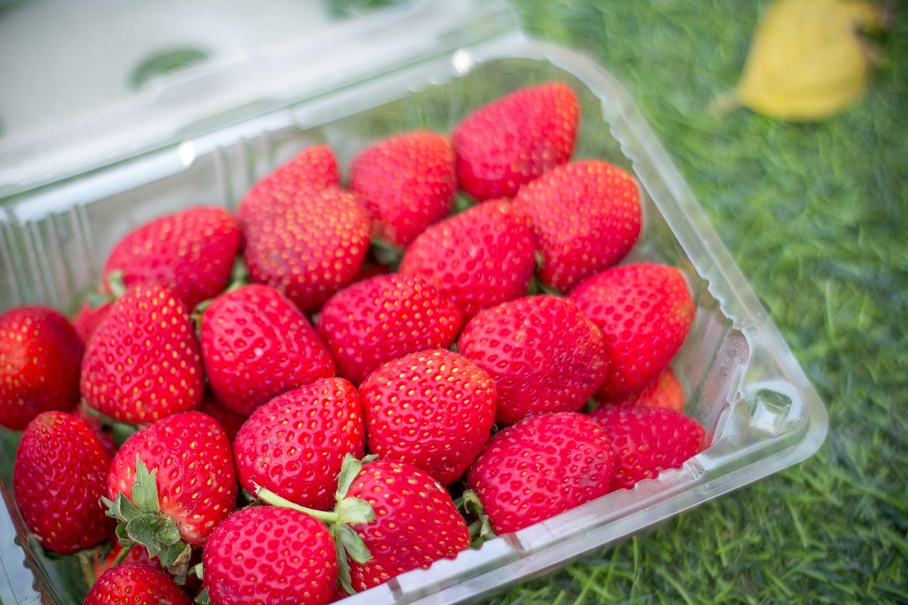 Fraise Fruit - Photo gratuite sur Pixabay - Pixabay