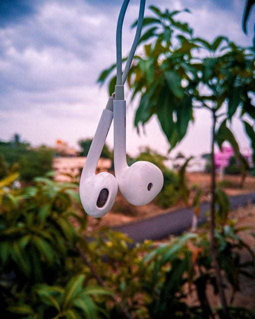 La Musique Casque Écouteur - Photo gratuite sur Pixabay - Pixabay