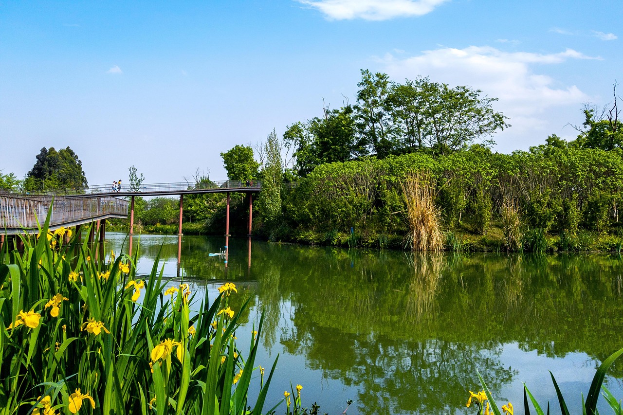 Asia China Chengdu - Free photo on Pixabay