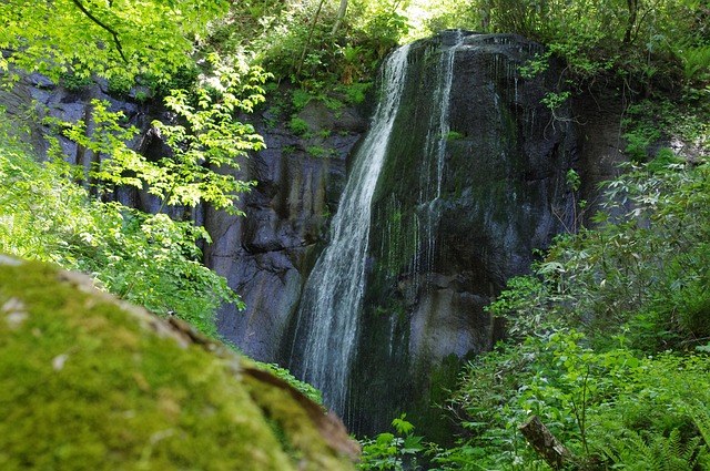 Cascade Nature L'Eau - Photo gratuite sur Pixabay - Pixabay